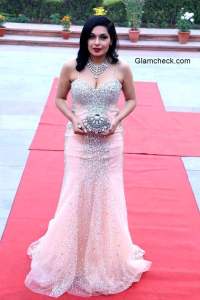 Meera Ali’s gorgeous appearance at the 3rd Delhi International Film ...